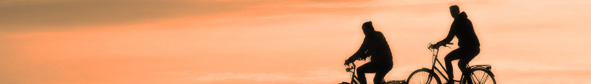 Kings of Fife – Rowan C. Stewart